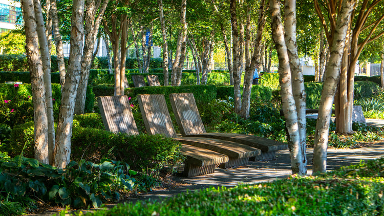 Outdoor Break Areas: Why Every Business Should Invest in Green Space ...