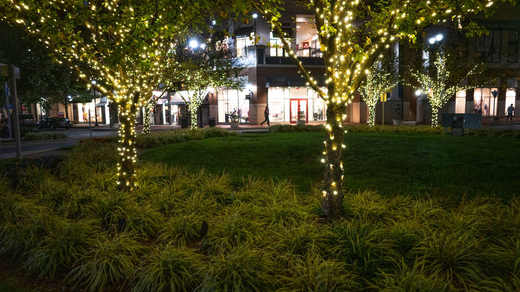 The Essential HOA Landscape Maintenance Guide for Board Members