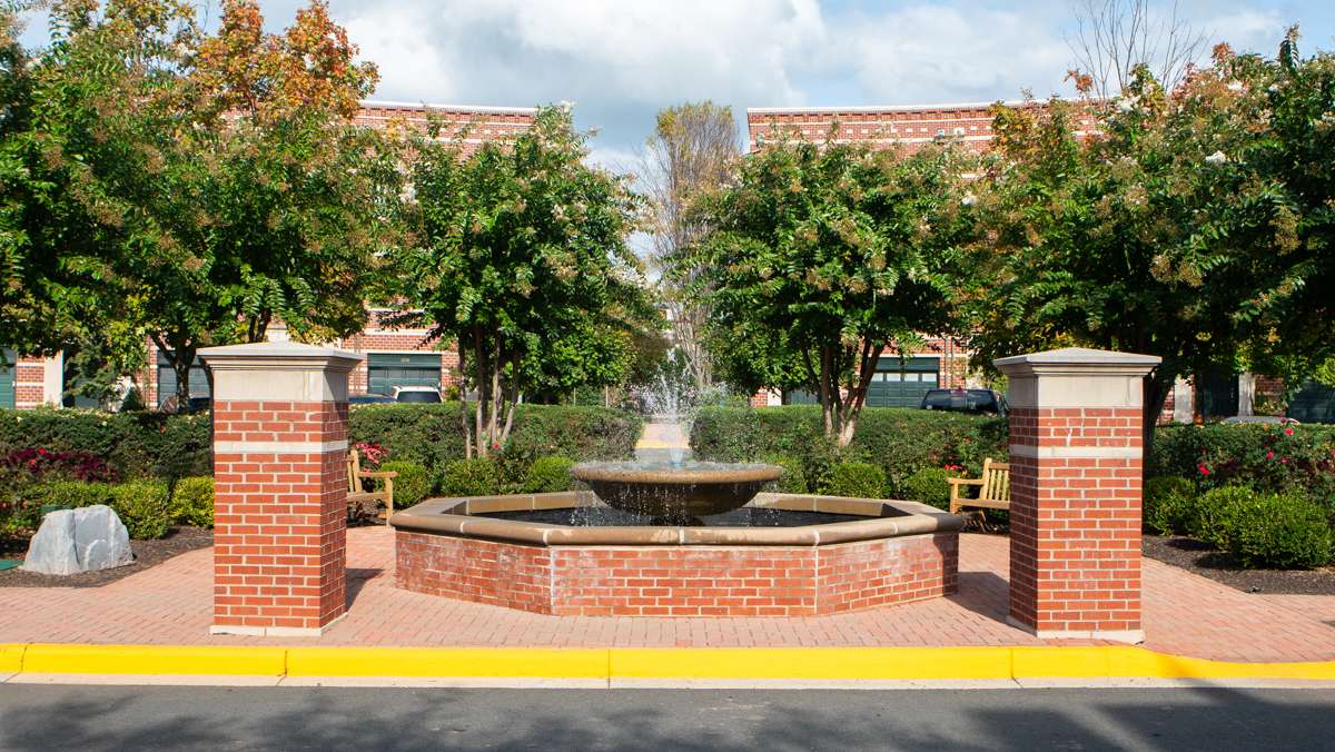 Outdoor Break Areas: Why Every Business Should Invest in Green Space ...